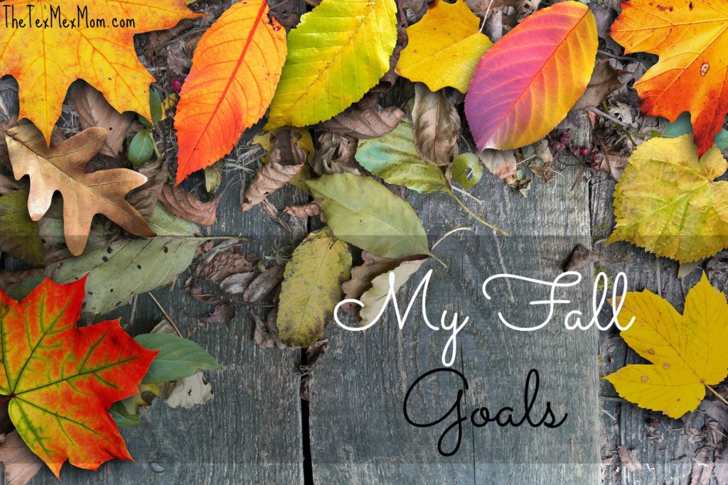 The Tex-Mex Mom - Page 26 of 30 - a family lifestyle blog by Rebekah Gaspar