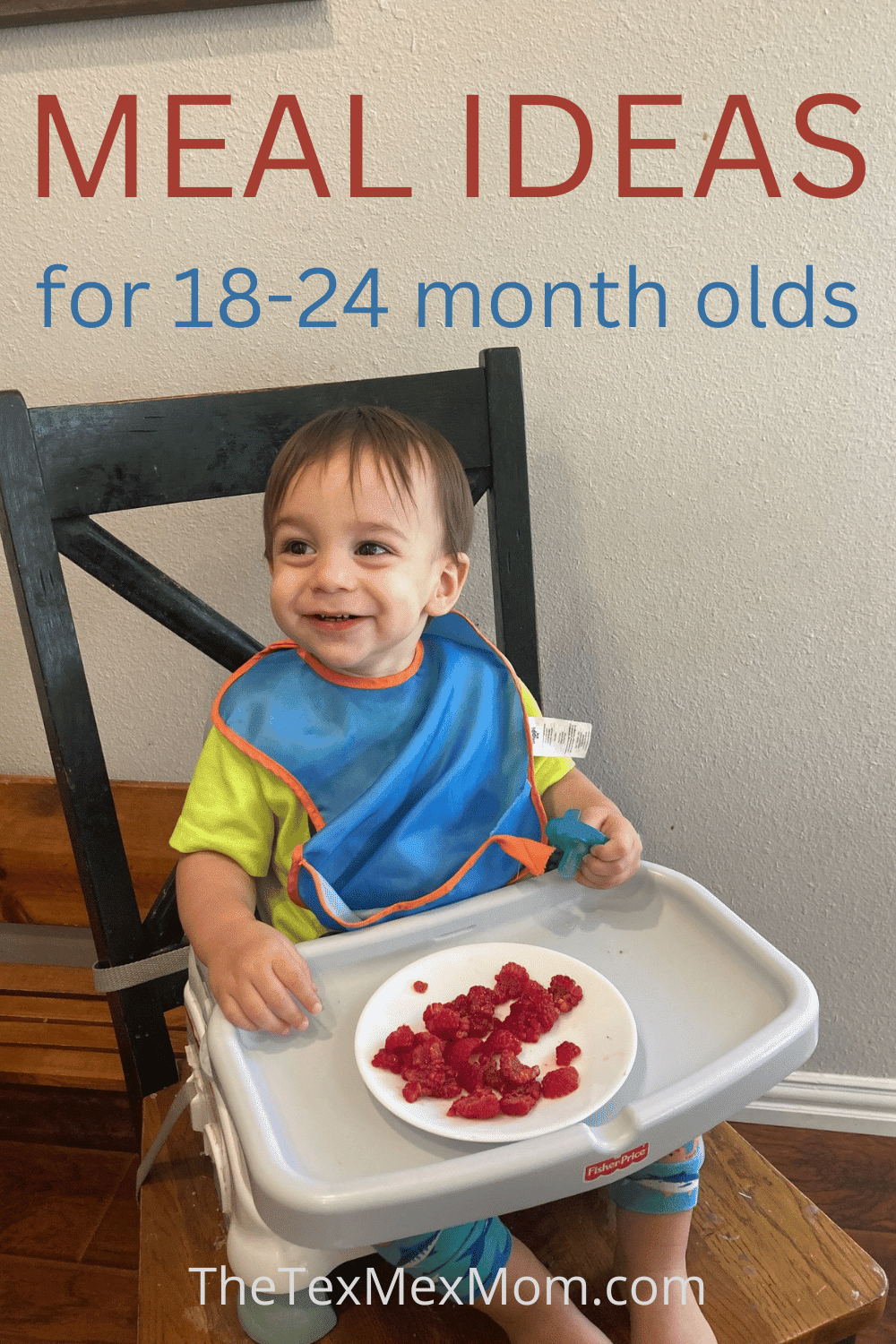 Realistic Meal Ideas for an 18 Month Old Toddler - The Tex-Mex Mom